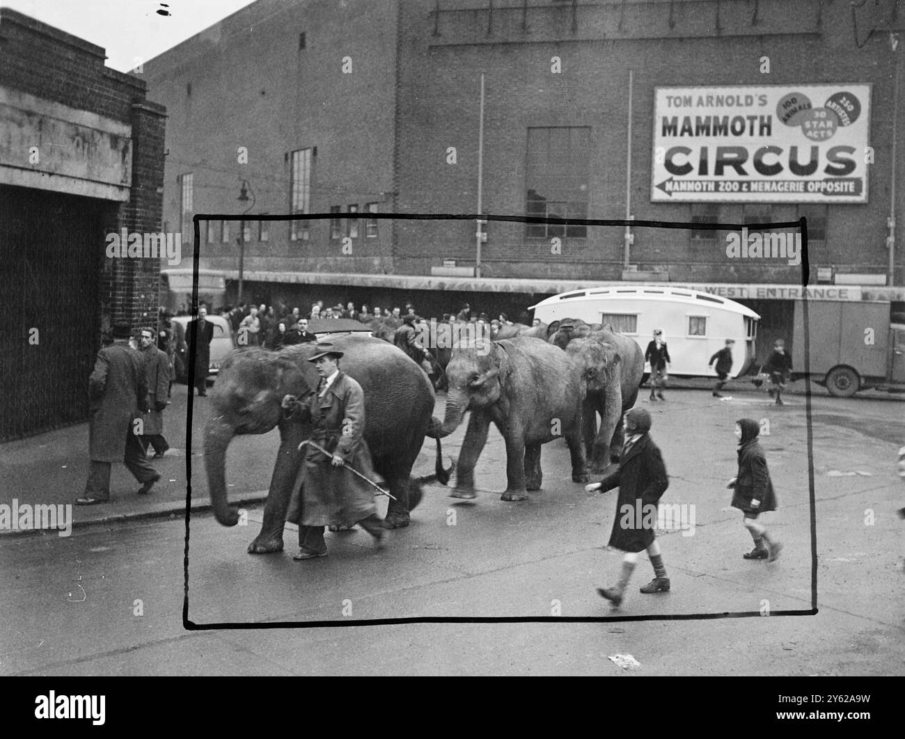 Of many heavyweights who have done their stuff at Harringay Arena, the ...