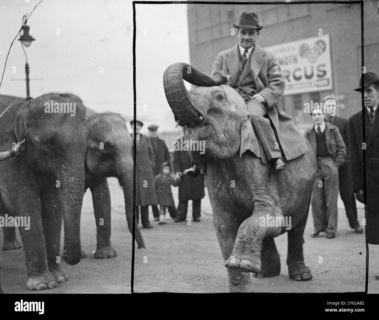 Champion jockey Gordon Richards had a heavyweight mount at Haringay ...