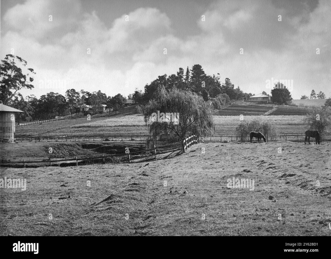 ARCHIVE BOX 6 ARC 0236 Reference: 001530 AUSTRALIA : PICTON FARM SCHOOL ...