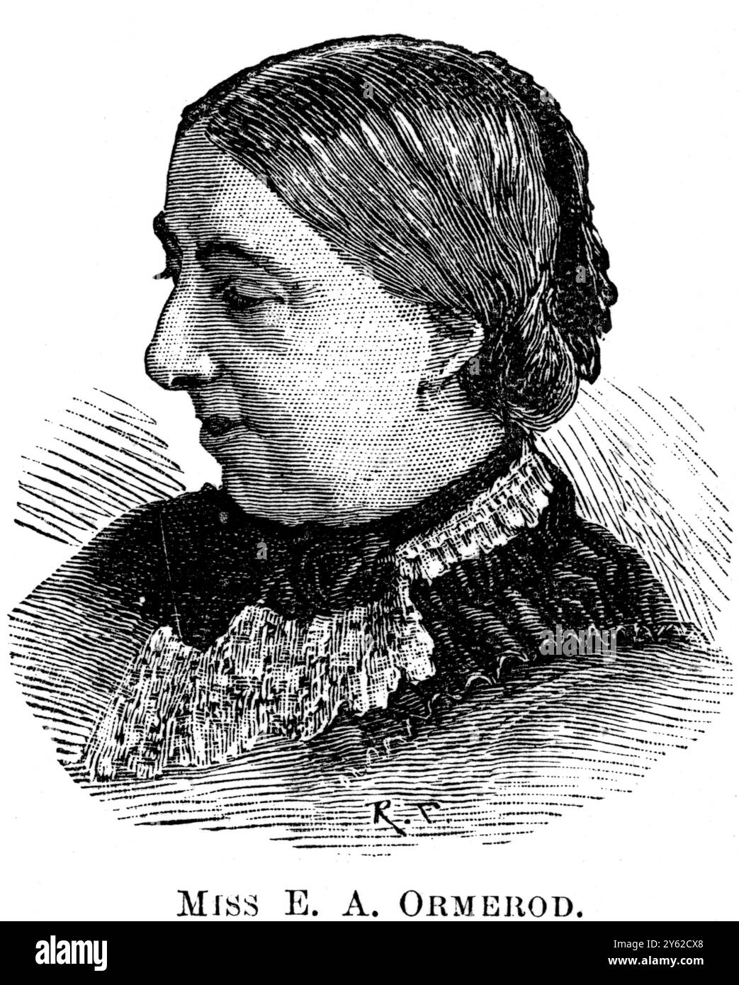 Destroy insects Cut Out Stock Images & Pictures - Alamy