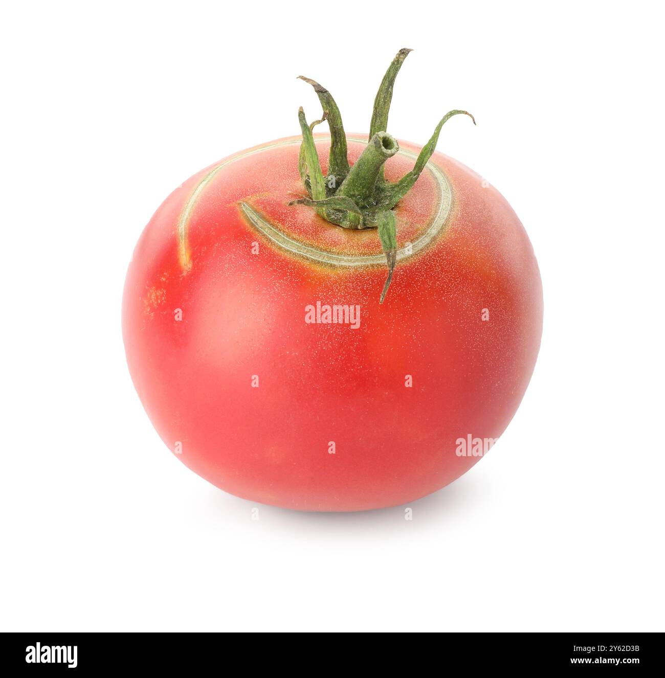 Fresh ripe pink tomato isolated on white Stock Photo - Alamy