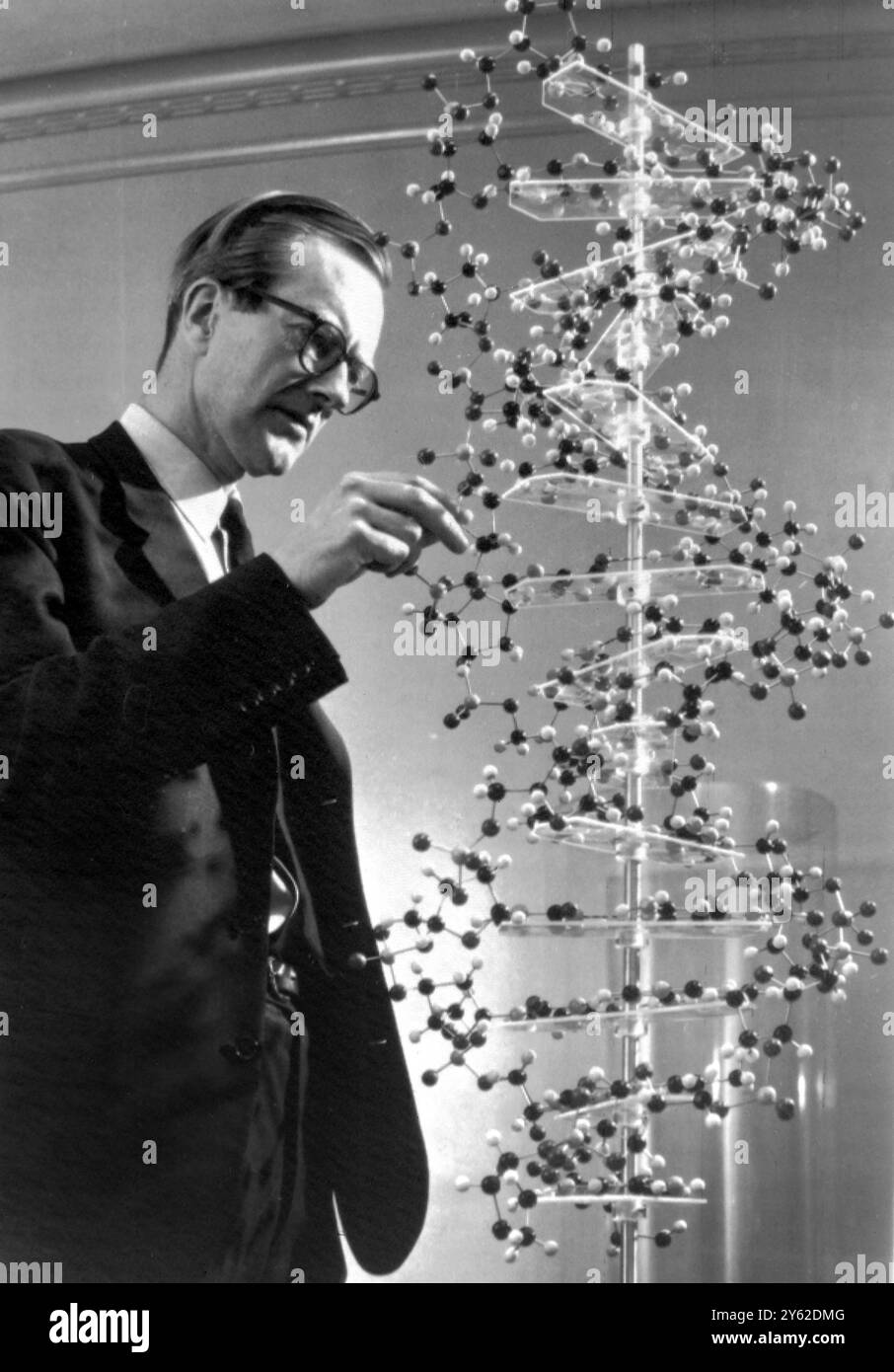 18 OCTOBER 1962 DR. MAURICE WILKINS STUDIES A MODEL OF DNA AFTER IT WAS ...