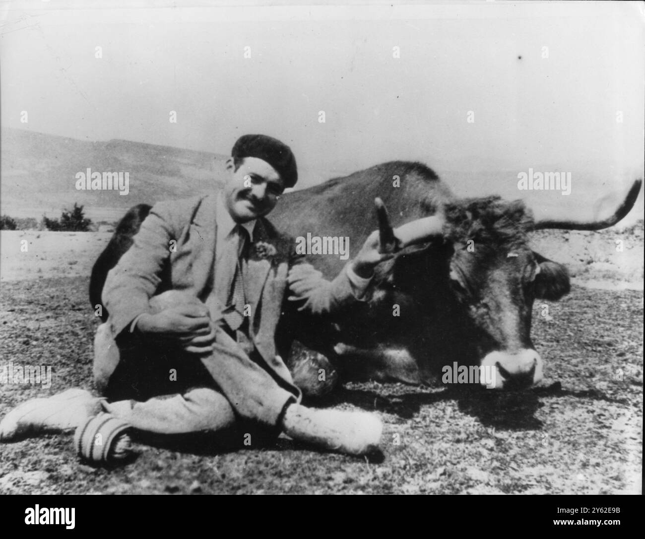 Ernest Hemingway poses with a bull in Mexico June 1938 Stock Photo - Alamy