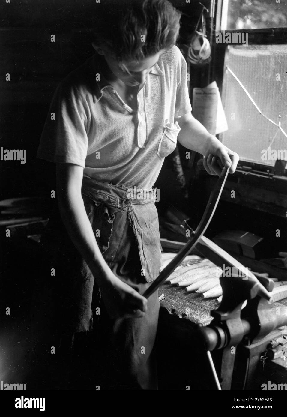 Craftsman with ladders - - Just turned fifteen , Ronald Thomas at work ...