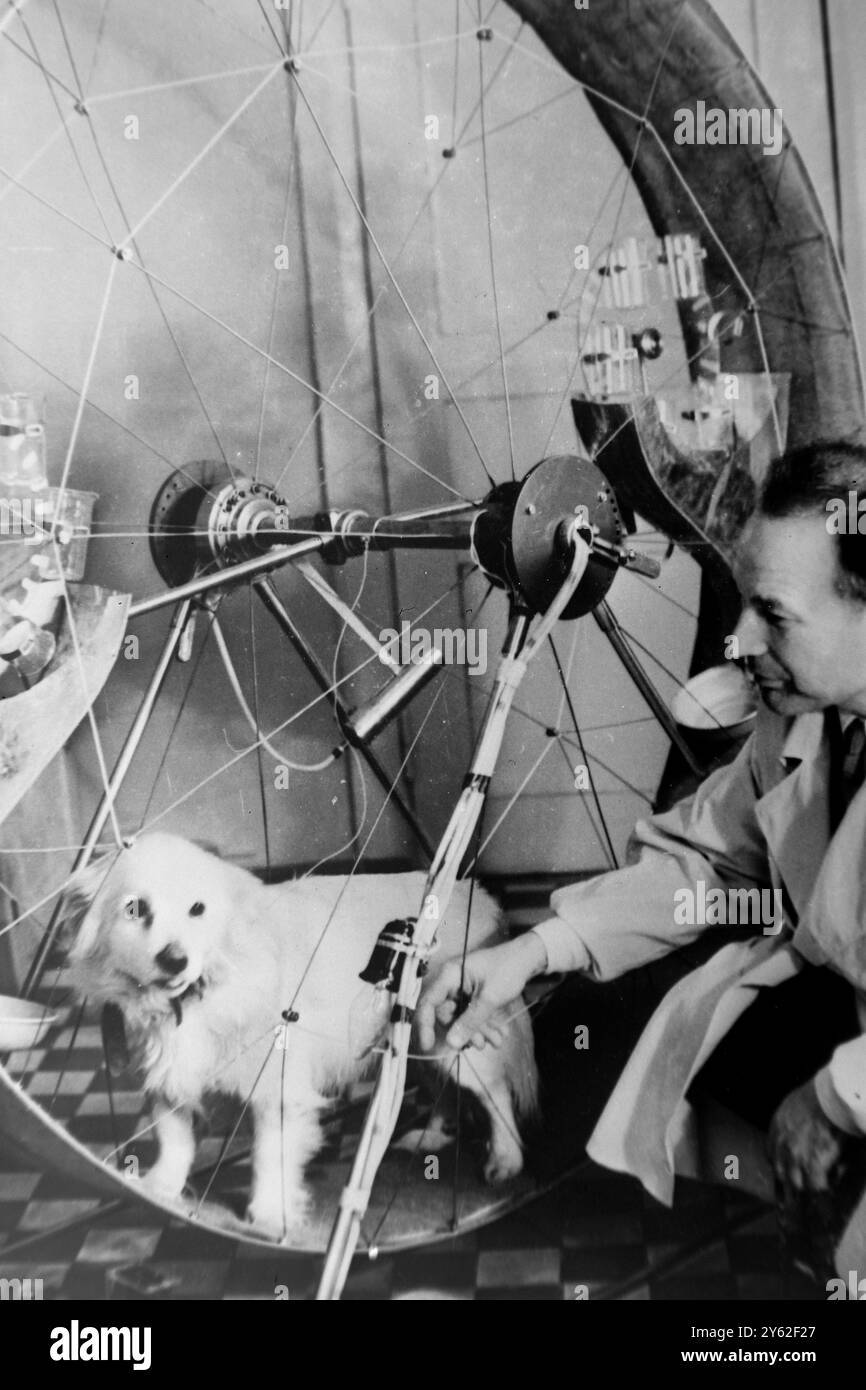 RUSSIAN PROFESSOR GRUSHEVSKY EXPERIMENTS WITH DOGS IN MOSCOW / ; 1 MAY ...