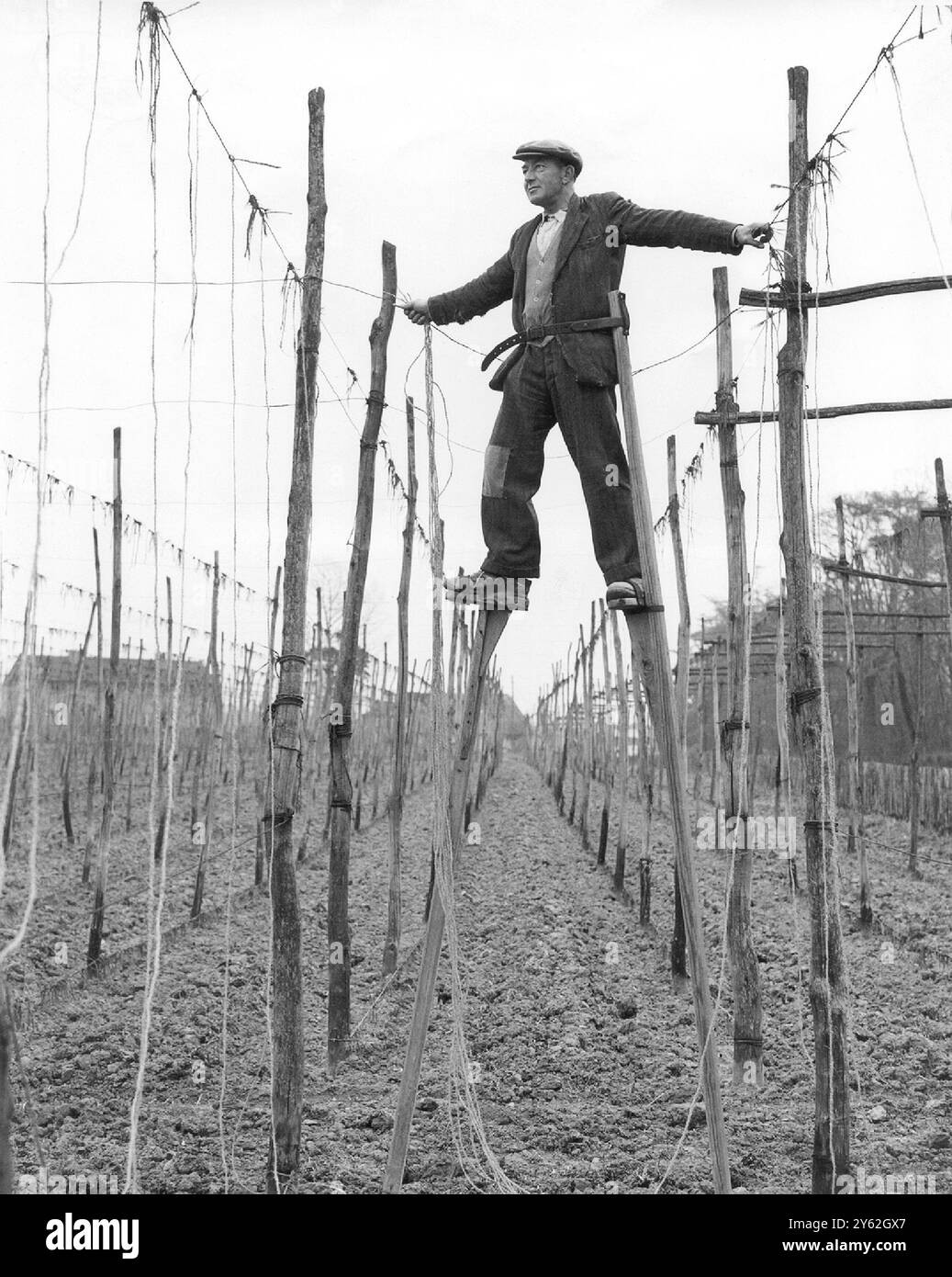 Mr george marden hi-res stock photography and images - Alamy