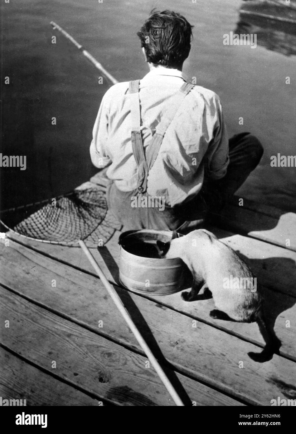 How much fish will the fisher get when the fisher fishes out fish? Well ...