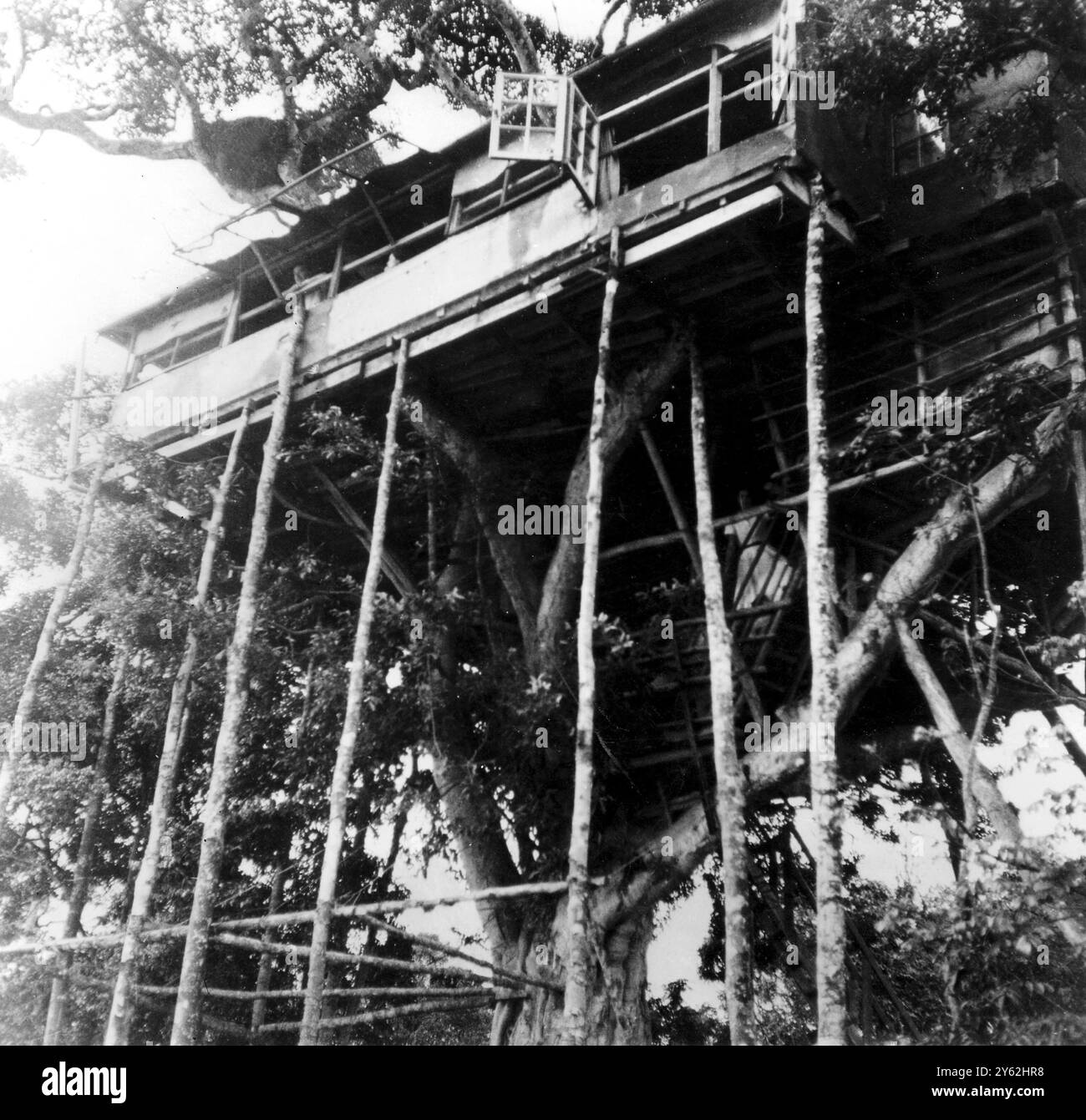 Royal Visitors to Stay at "Treetops House" The famous "Treetops House ...