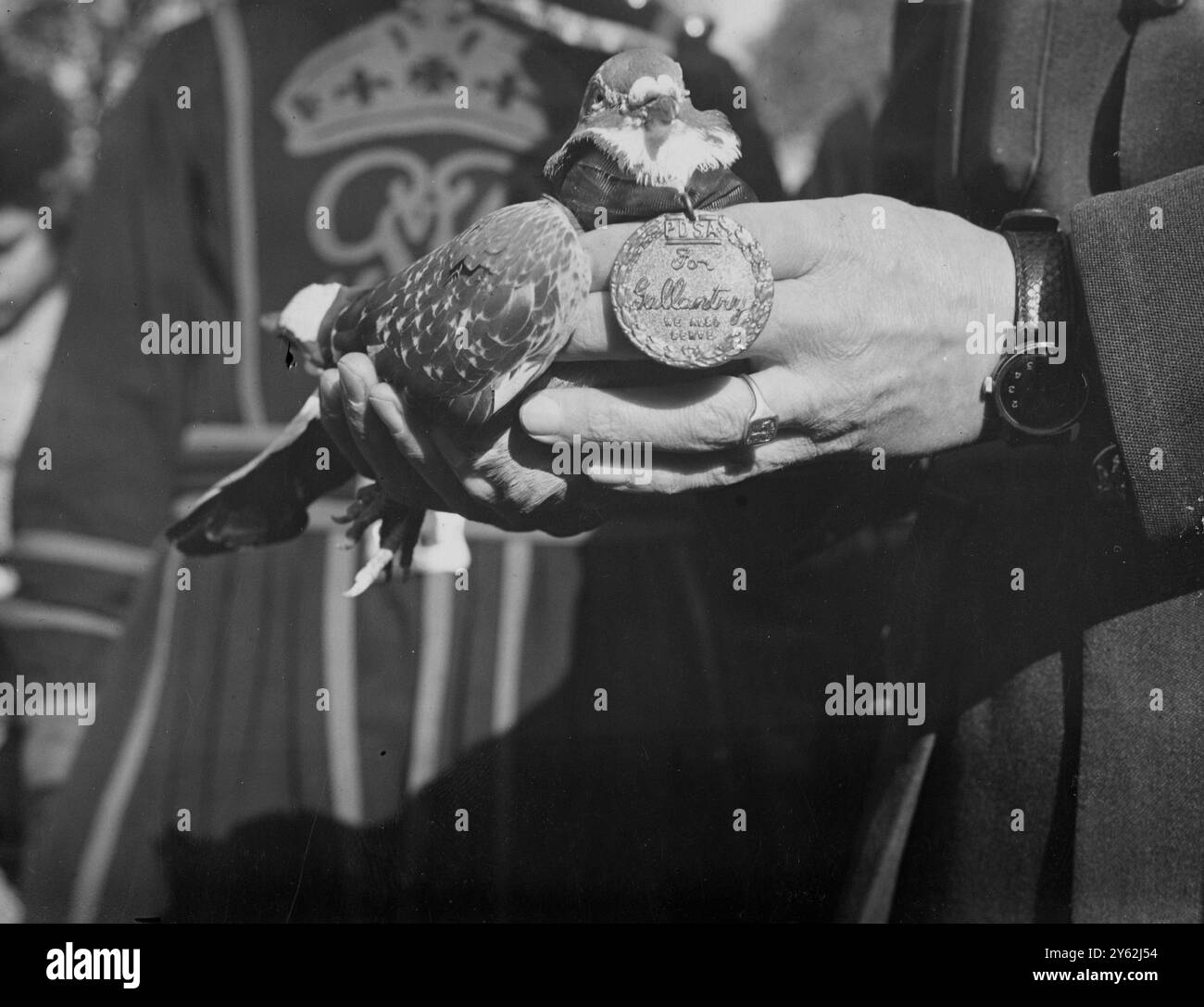 In the presence of high-ranking British and American officers, and in ...