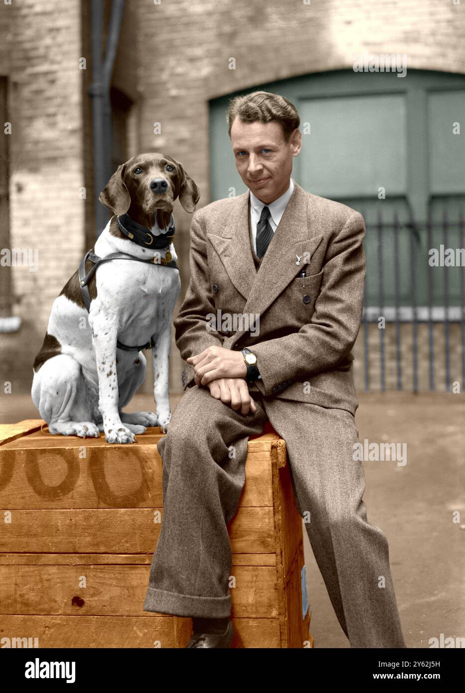 Judy , a pedigree pointer bitch , and the only dog registered as POW in ...
