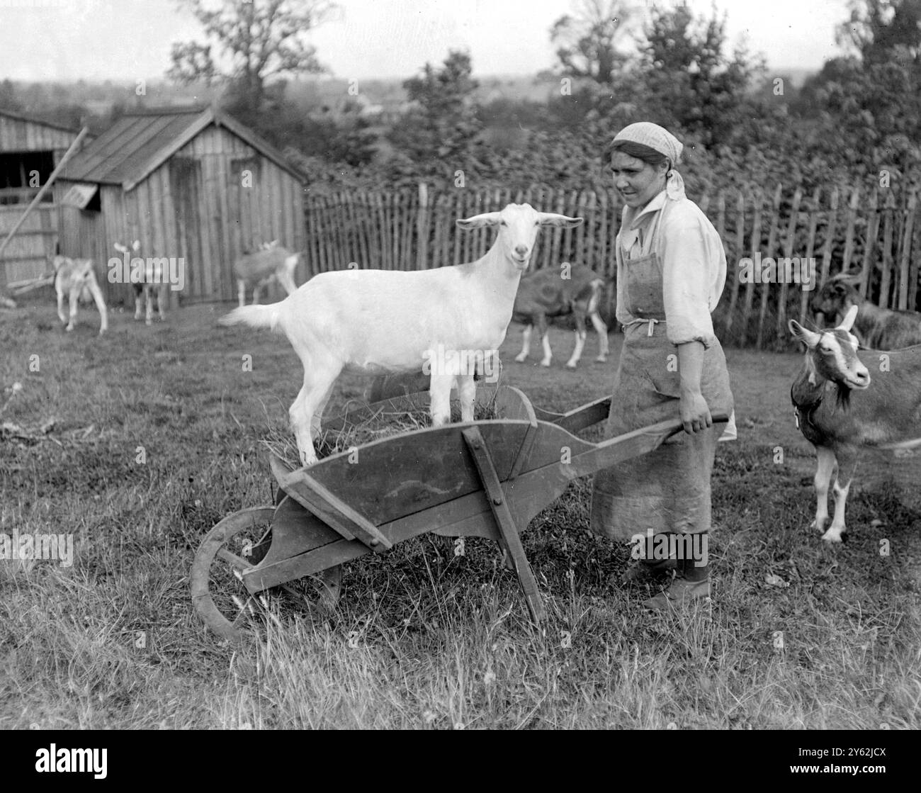 1920s farm life hi-res stock photography and images - Alamy