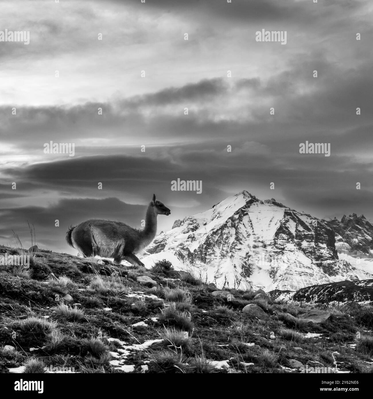 Breathtaking nature landscape panoramic Black and White Stock Photos ...