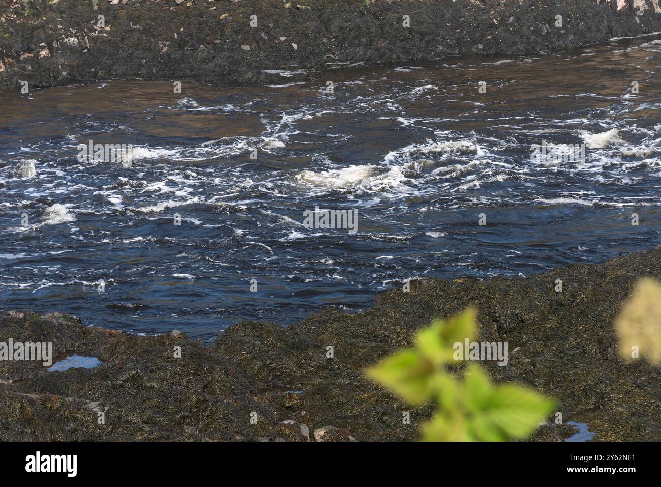 Reversing Falls Rapids of the Bay of Fundy and the Saint John River ...
