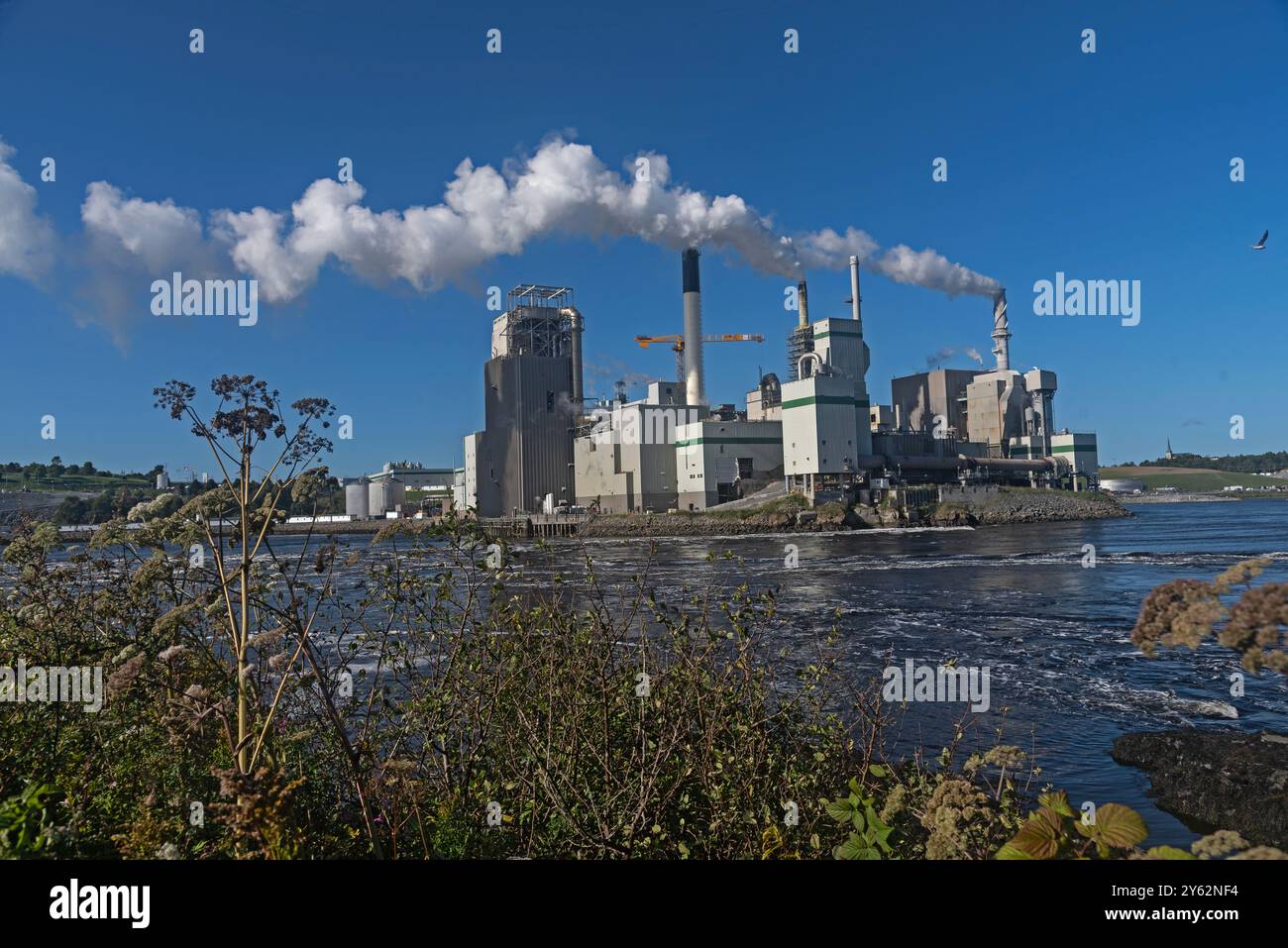 The Irving Pulp and Paper Limited, previously Irving Pulp Mill ...