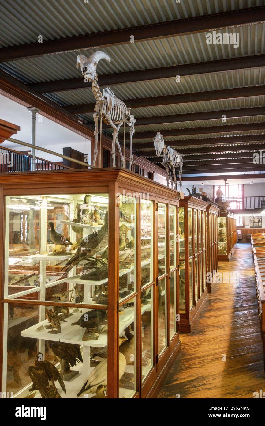 Society victorian era research center library william scientist hi-res ...