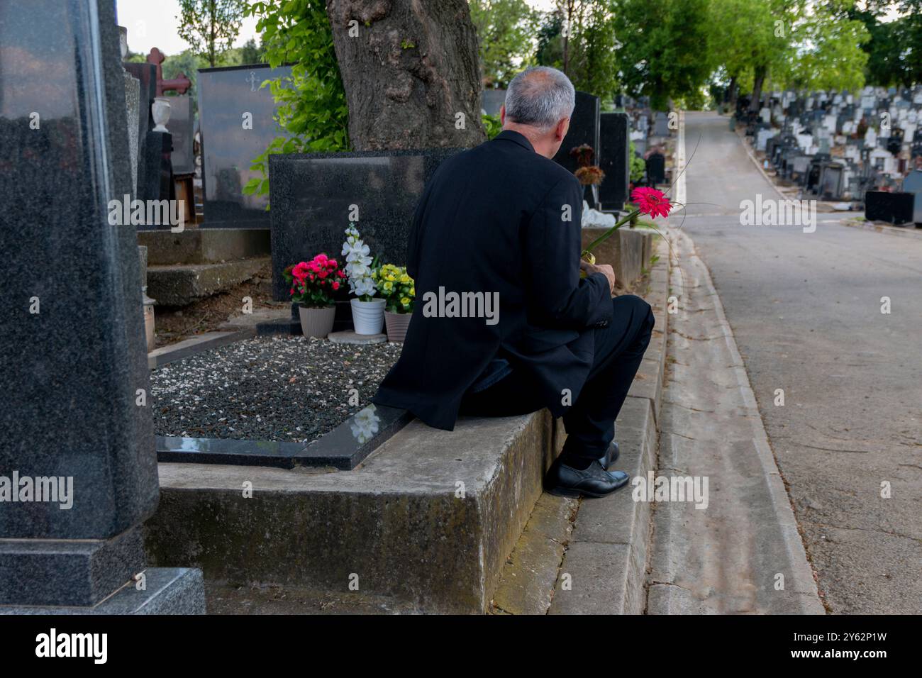 Mature man in black clothes on cemetery, holding a flower and mourning ...