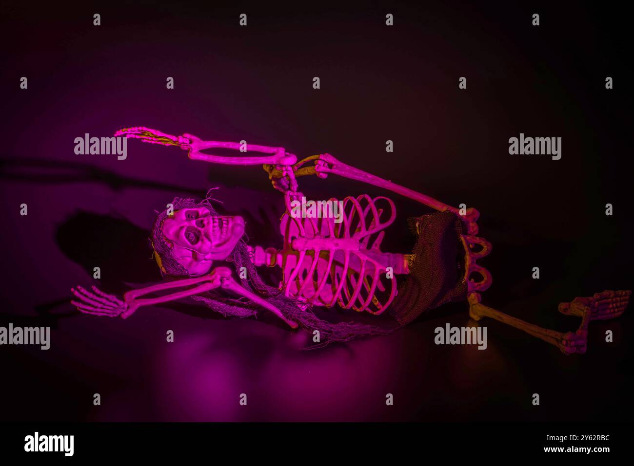 Spooky skeleton figure lit in eerie purple light, lying on the ground ...