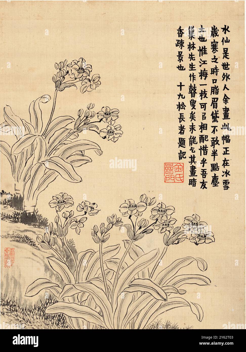Narcissus by Chinese painter and calligrapher Jin Nong (金农) (1687-1763 ...