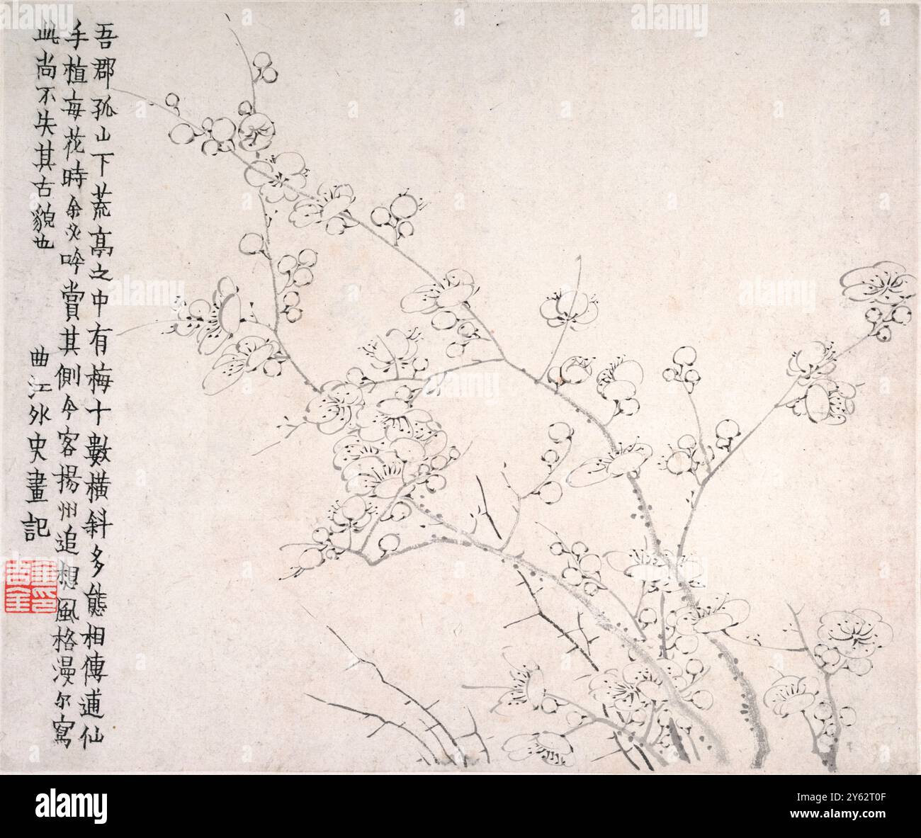 Plum blossoms by Chinese painter and calligrapher Jin Nong (金農) (1687 ...