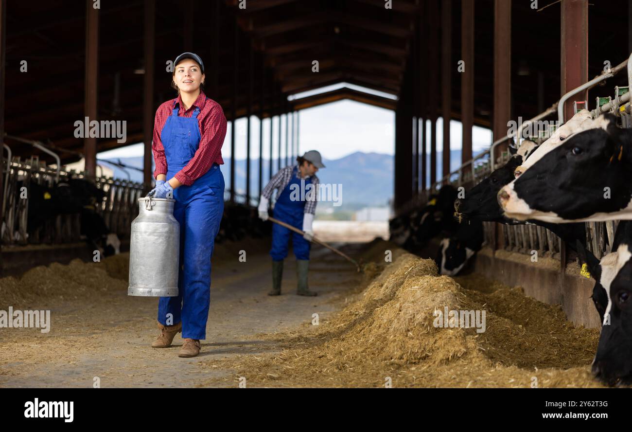 Female owner with milk can standing in stall on background with herd of ...