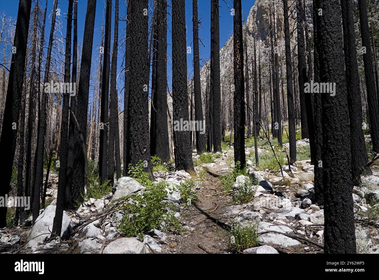 Hiking trail fire hi-res stock photography and images - Alamy