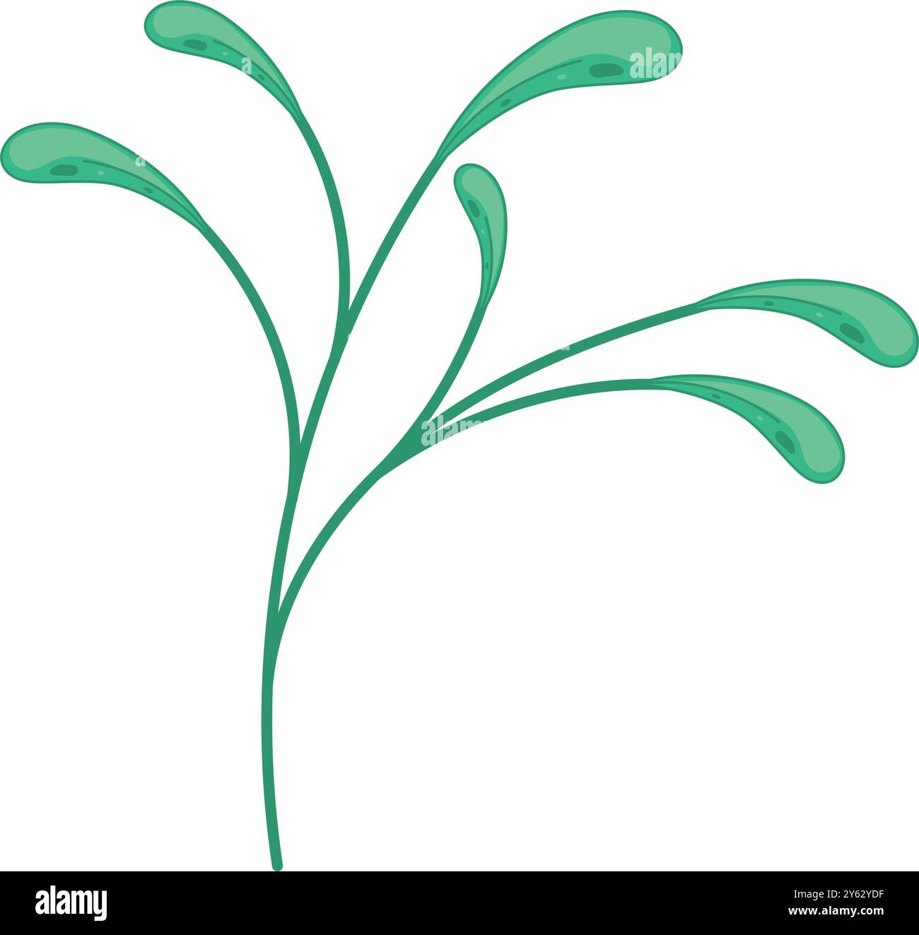 Green abstract leaf with curved stem and fluid design Vector Stock ...
