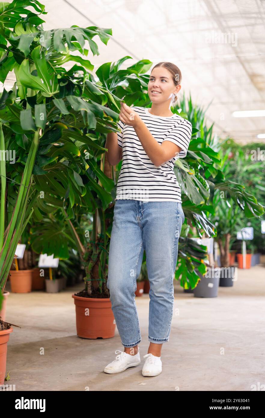 Happy girl chooses an exotic tropical Monstera Deliciosa in flower shop ...