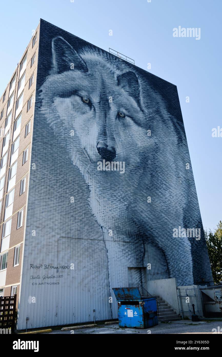 Large Wolf mural inspired by work of Robert Bateman on apartment ...