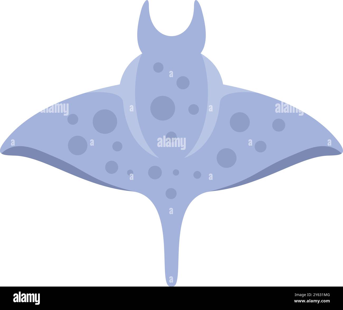 Spotted eagle ray swimming underwater with fins outspread showing its ...