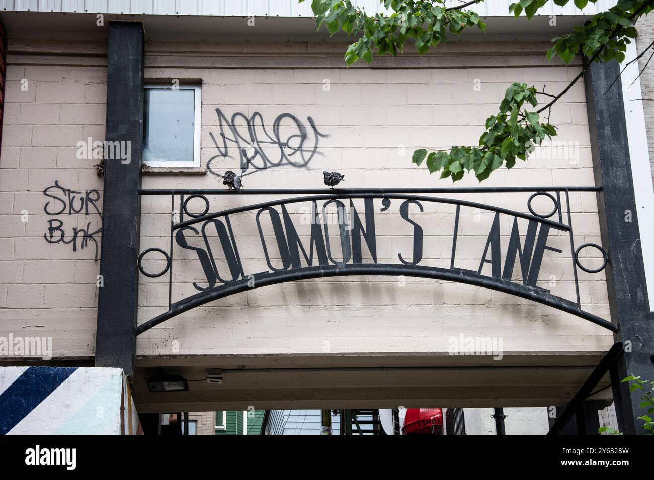 St. John's Lane sign between Water Street and Duckworth Street in ...