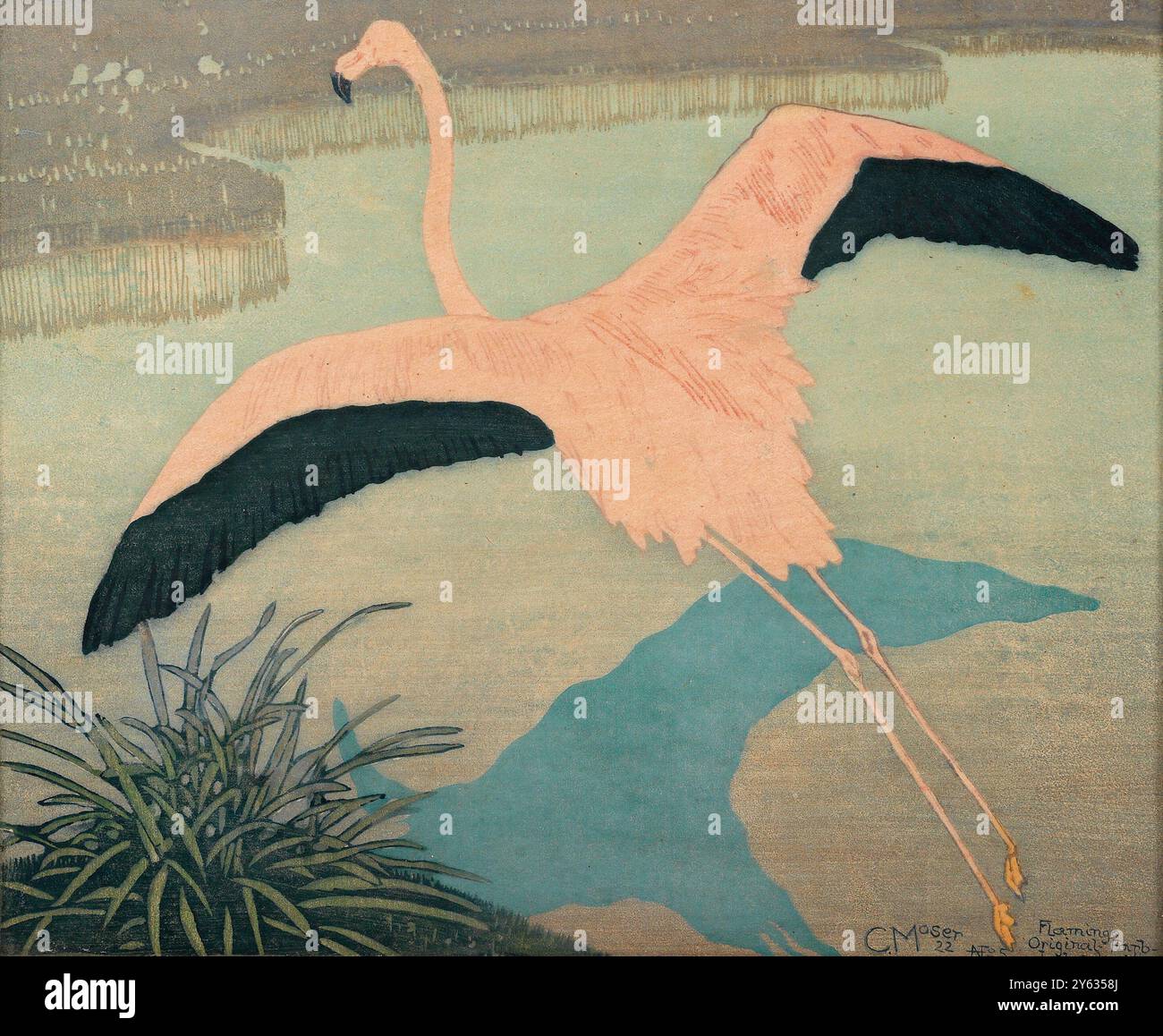 Flamingo. Museum: PRIVATE COLLECTION. Author: Carl Moser Stock Photo ...