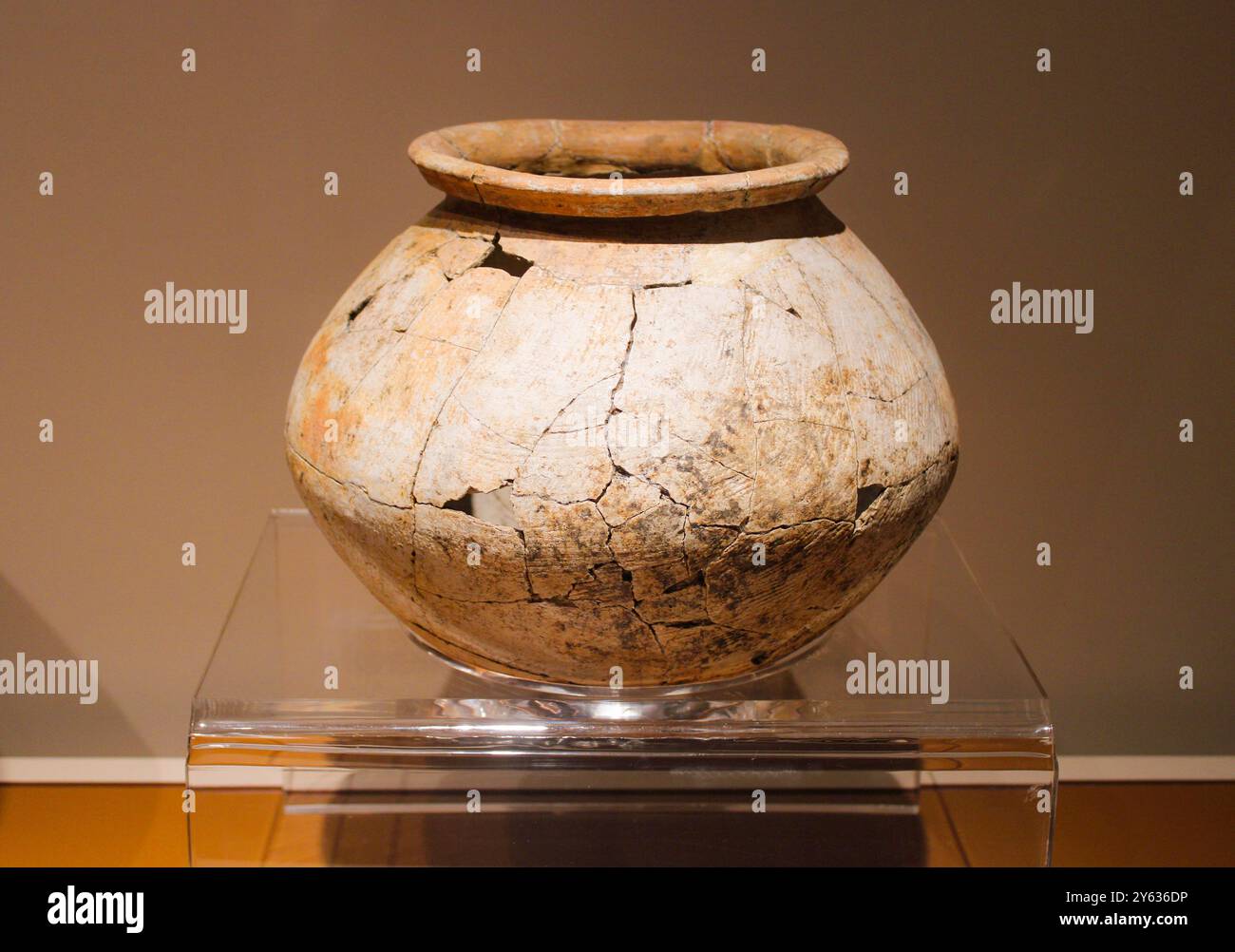 Globular shaped jars hi-res stock photography and images - Alamy
