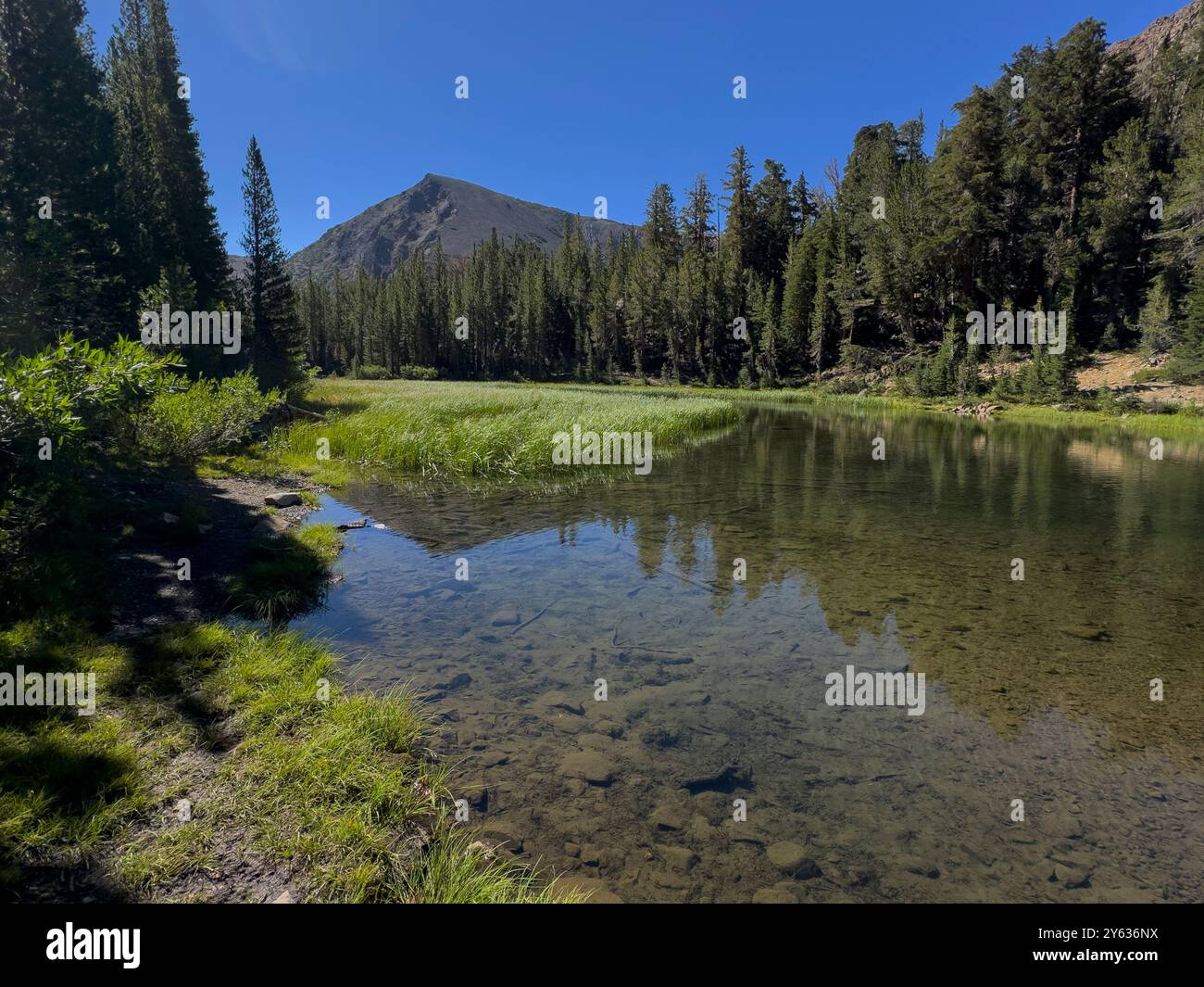 Virginia Lakes is a hike in the Eastern Sierra Nevada just north of ...