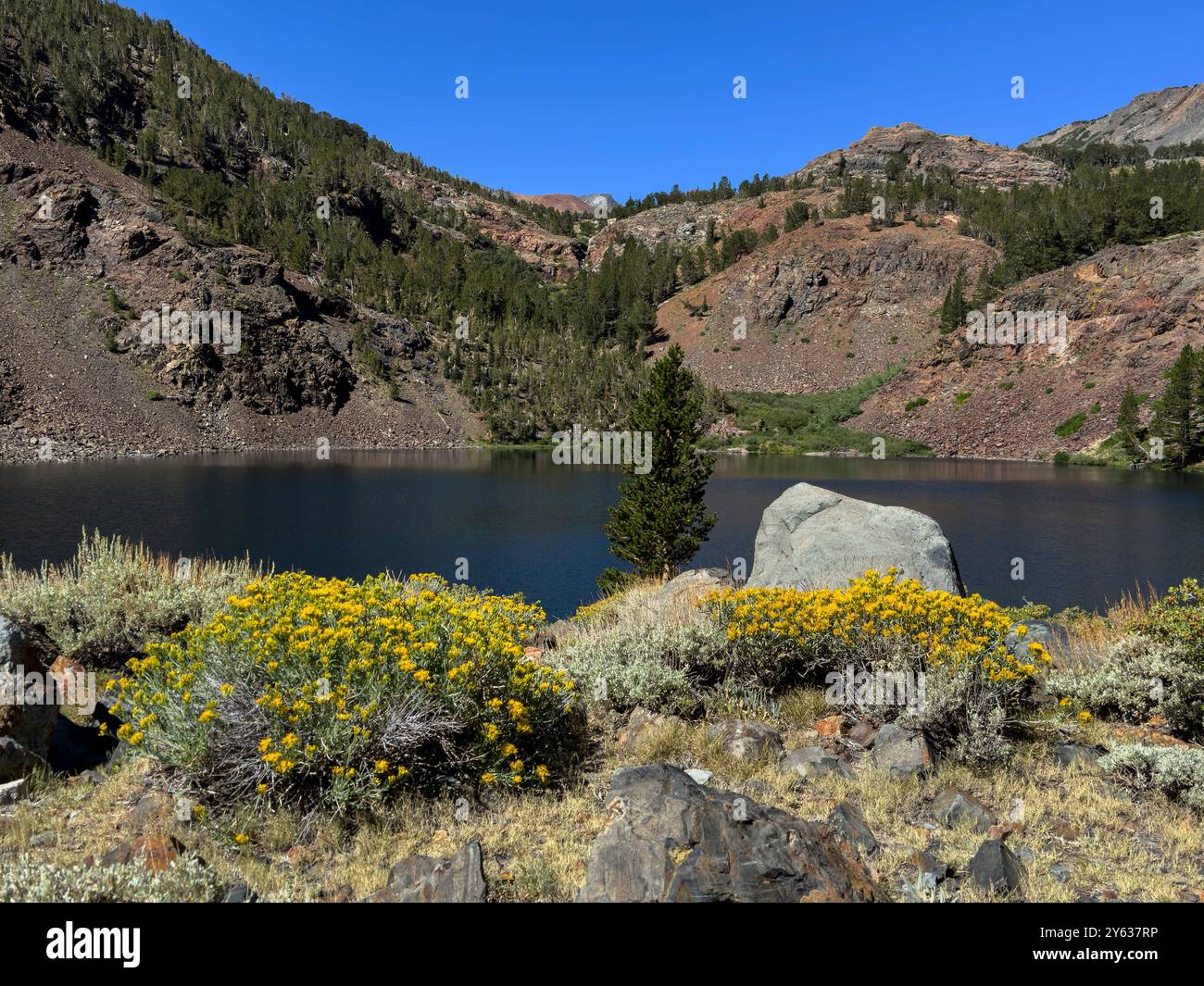 Big Virginia Lakes is a hike in the Eastern Sierra Nevada just north of ...