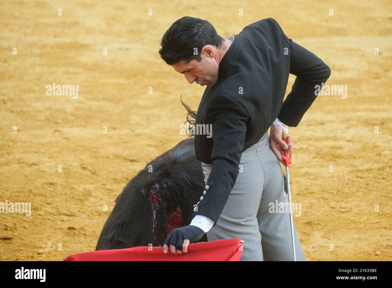 Seville, 03/10/2024. Report on Alejandro Talavante in a bullfighting ...