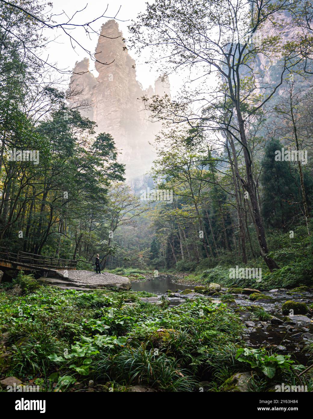 Wild Zhangjiajie National Forest in Hunan Province with creek, water ...
