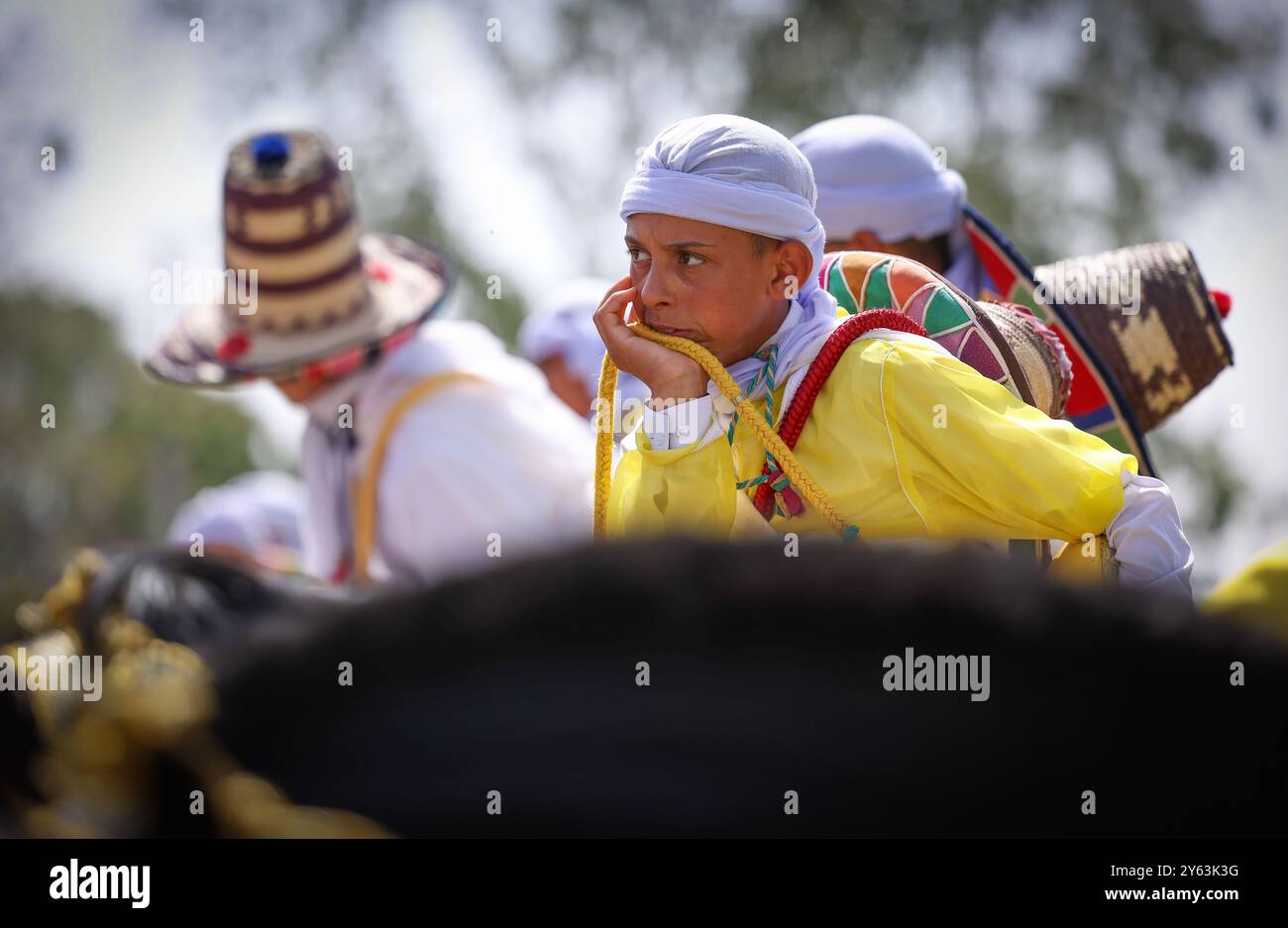 Capturing the intensity of a traditional Moroccan Tbourida, also known ...