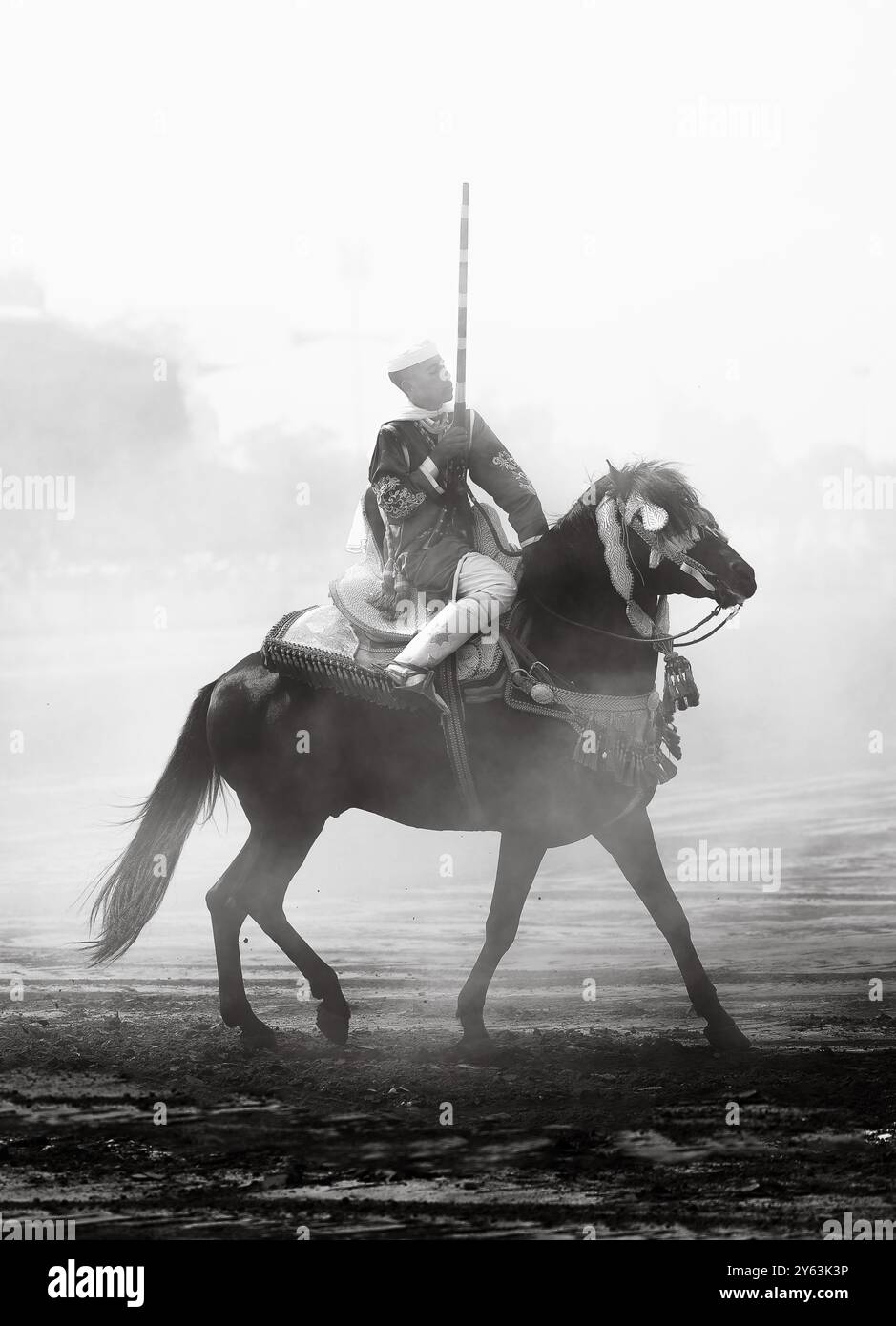 Capturing the intensity of a traditional Moroccan Tbourida, also known ...