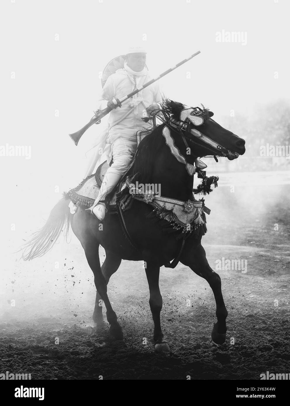 Capturing the intensity of a traditional Moroccan Tbourida, also known ...