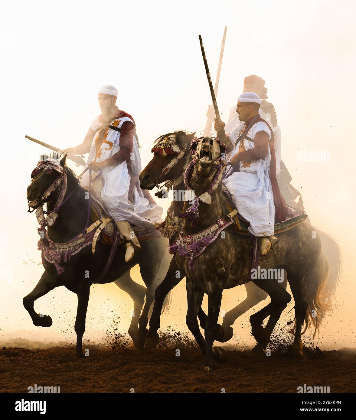 Capturing the intensity of a traditional Moroccan Tbourida, also known ...