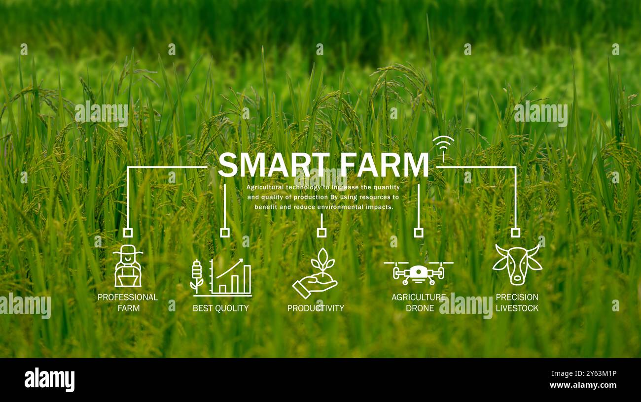 Smart farm technology meets agricultural expertise. Precision livestock ...