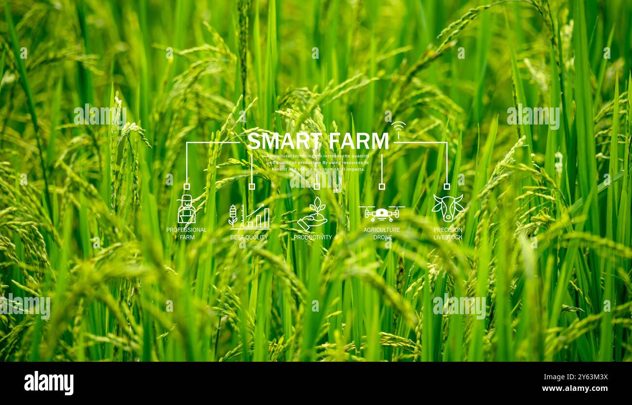 Smart farm technology meets agricultural expertise. Precision livestock ...