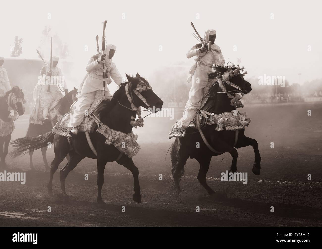 Capturing the intensity of a traditional Moroccan Tbourida, also known ...