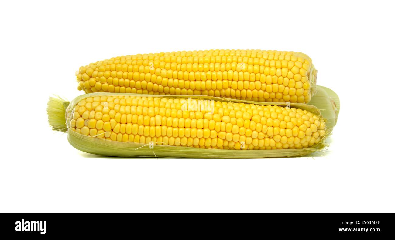 Fresh corn cobs with husks and kernels isolated on a white background ...