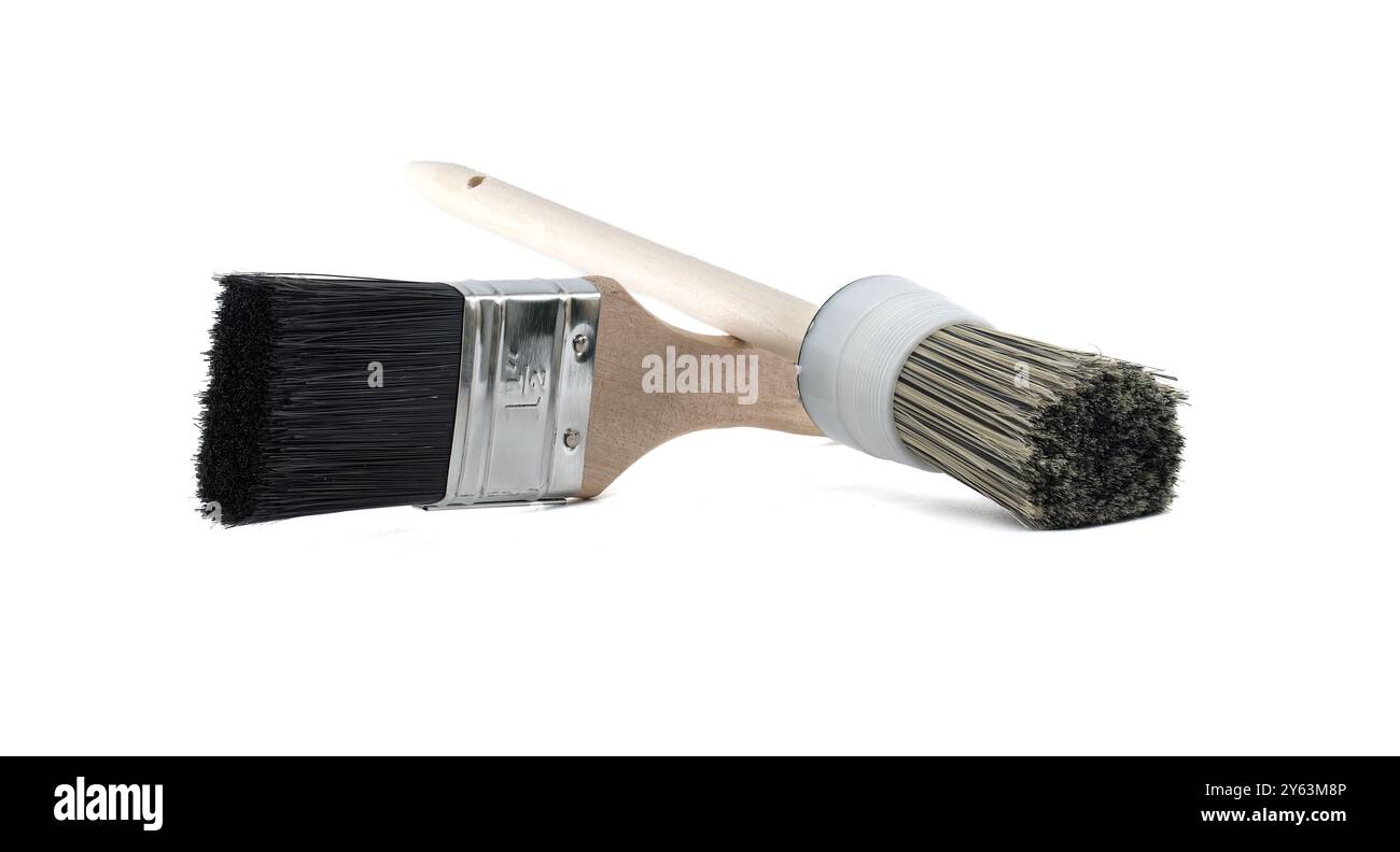 Two paintbrushes on a white background showcasing different bristle ...