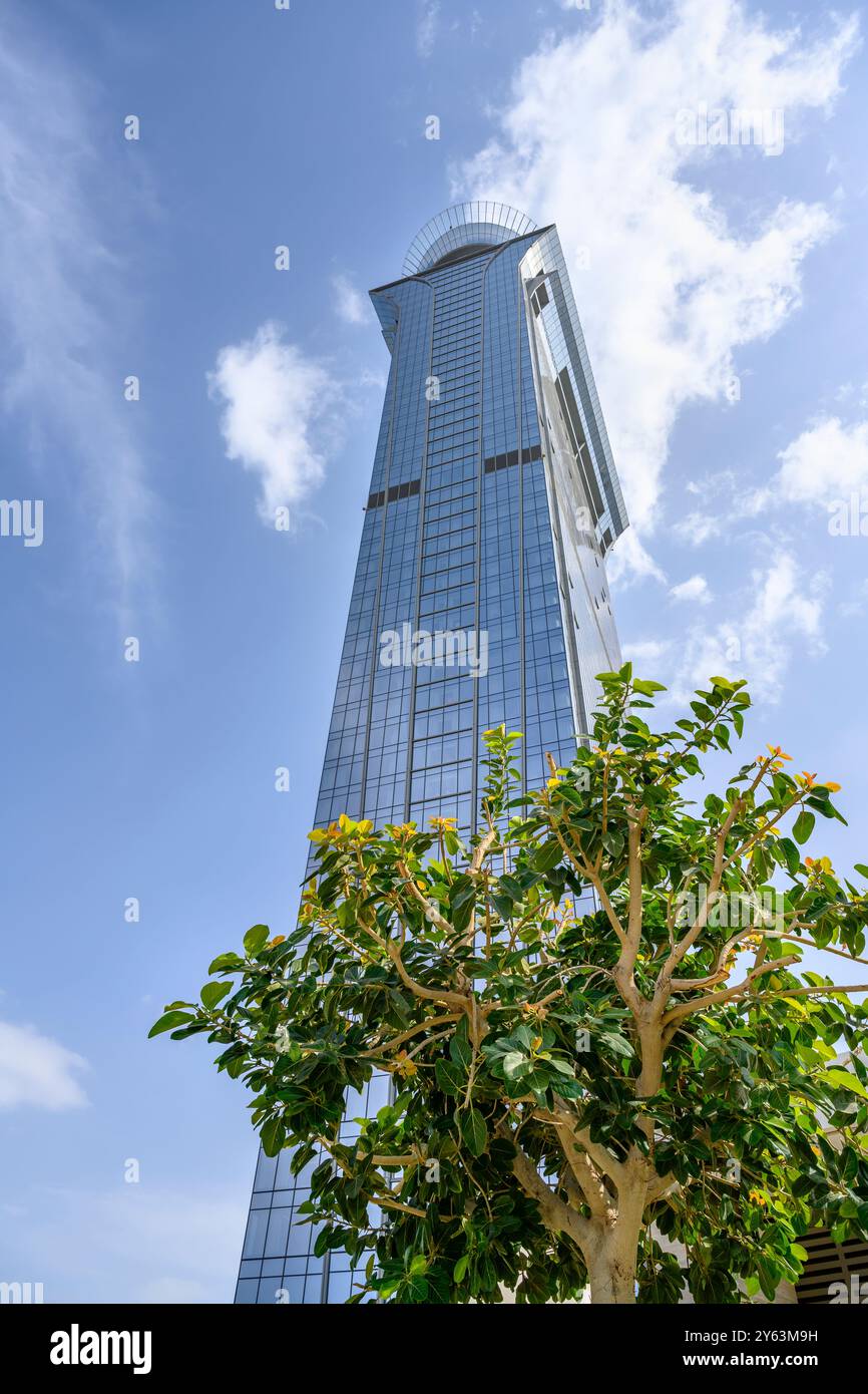 A tropical tree and a 354-meter-high skyscraper looking up into the sky ...
