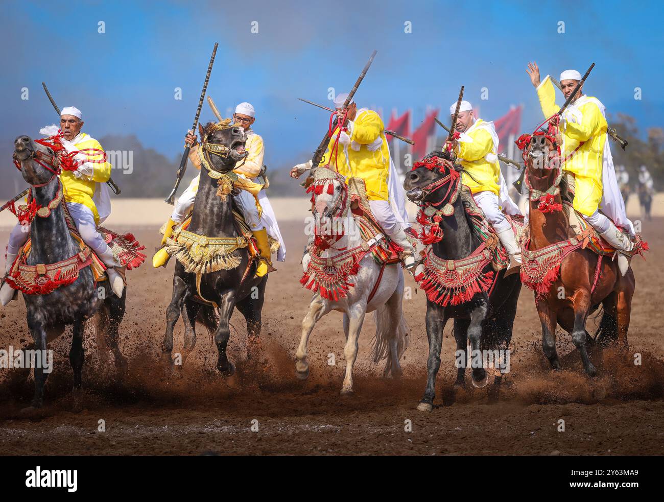 Capturing the intensity of a traditional Moroccan Tbourida, also known ...