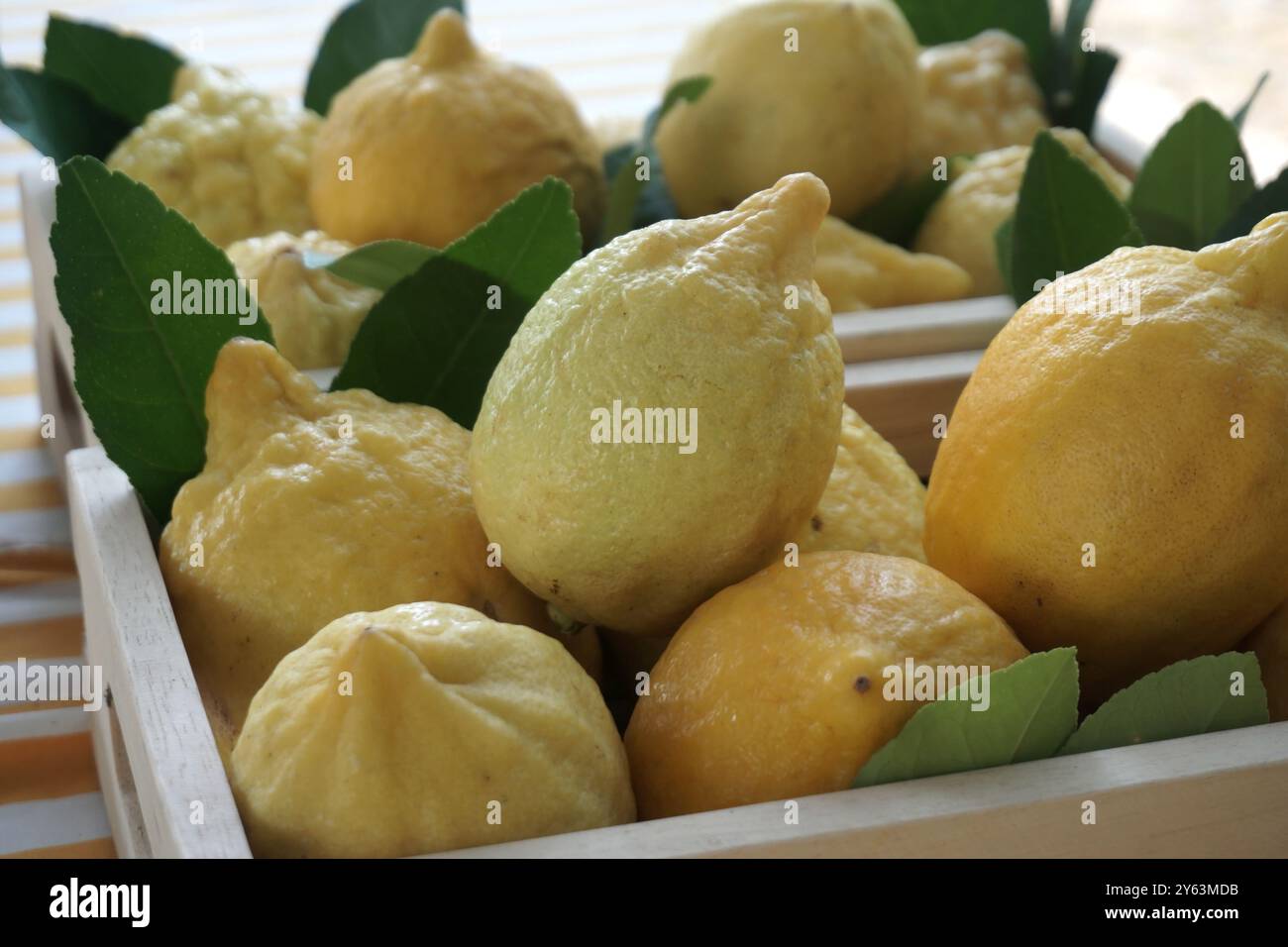 pile of fresh lemons in wooden box Stock Photo - Alamy