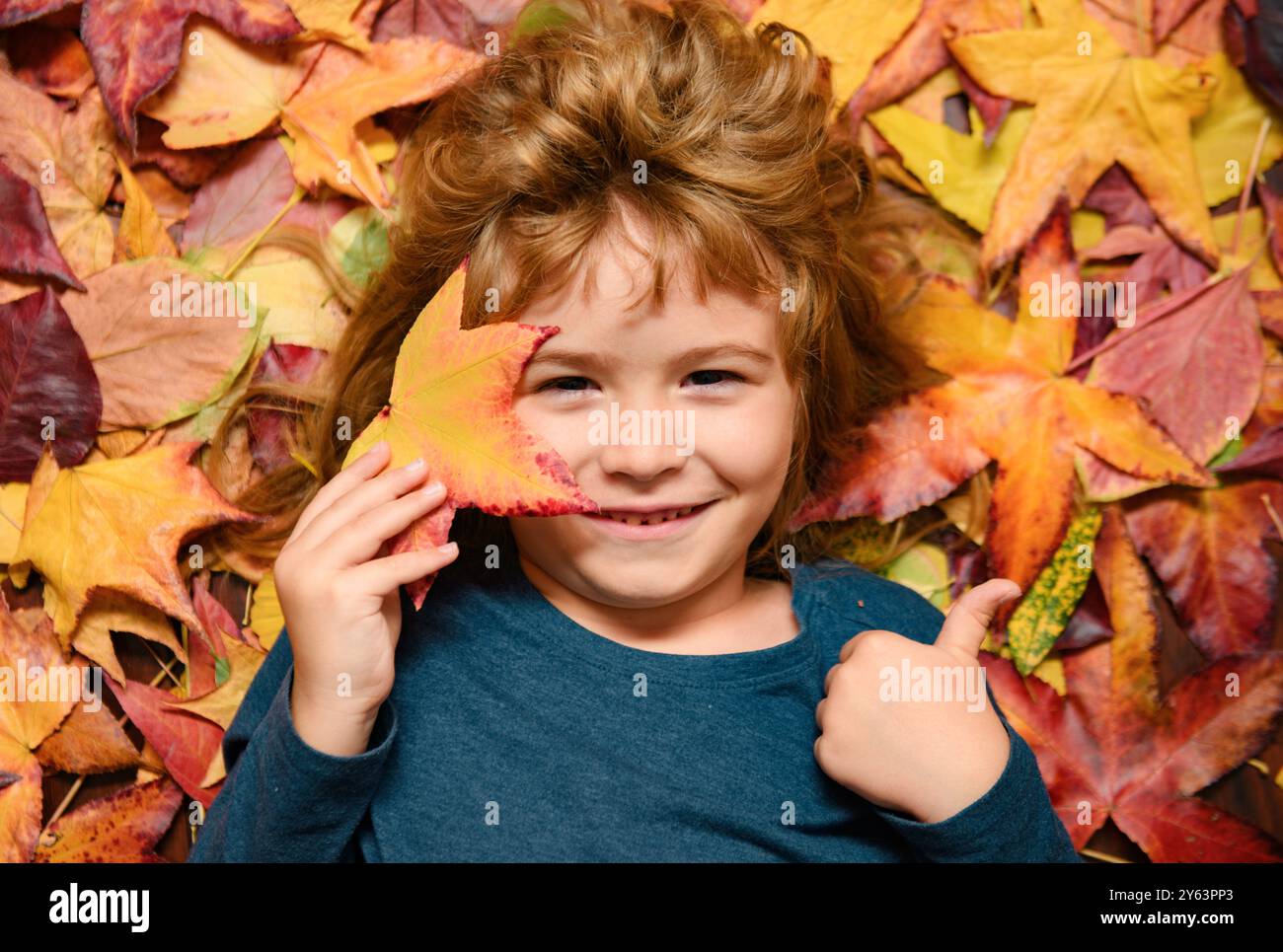Portrait close up of funny kid boy lying in autumn leaves. Autumn Child ...