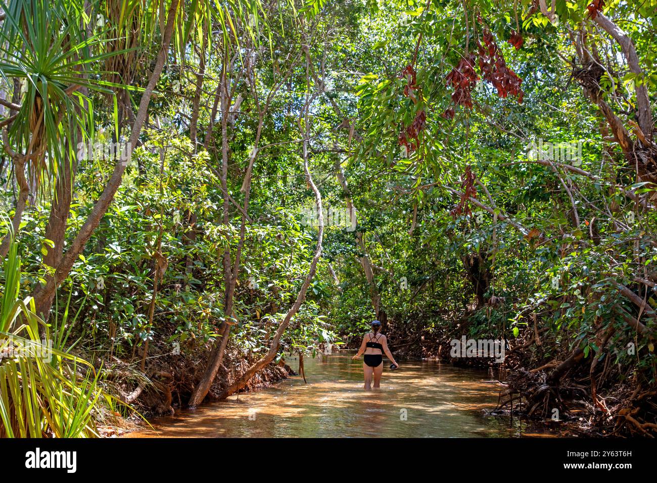 Wading through the creek at Latram (Wathawuy Stock Photo - Alamy